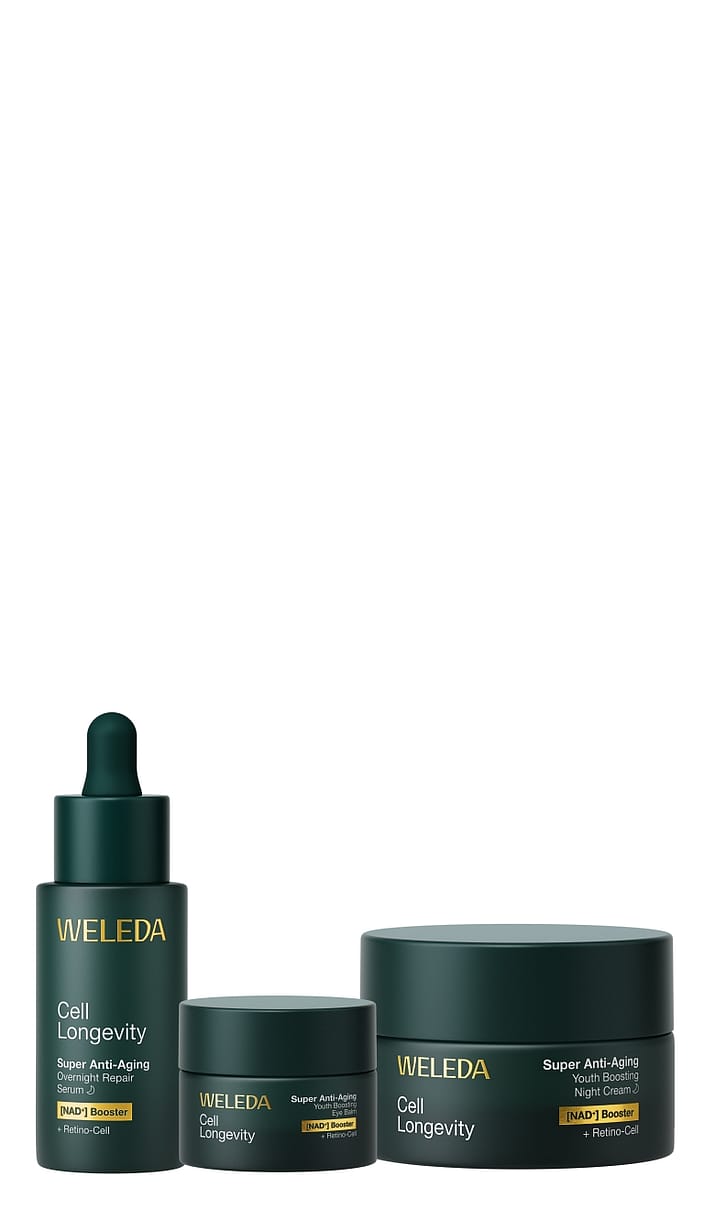 Cell Longevity Super Anti-Aging Night Routine