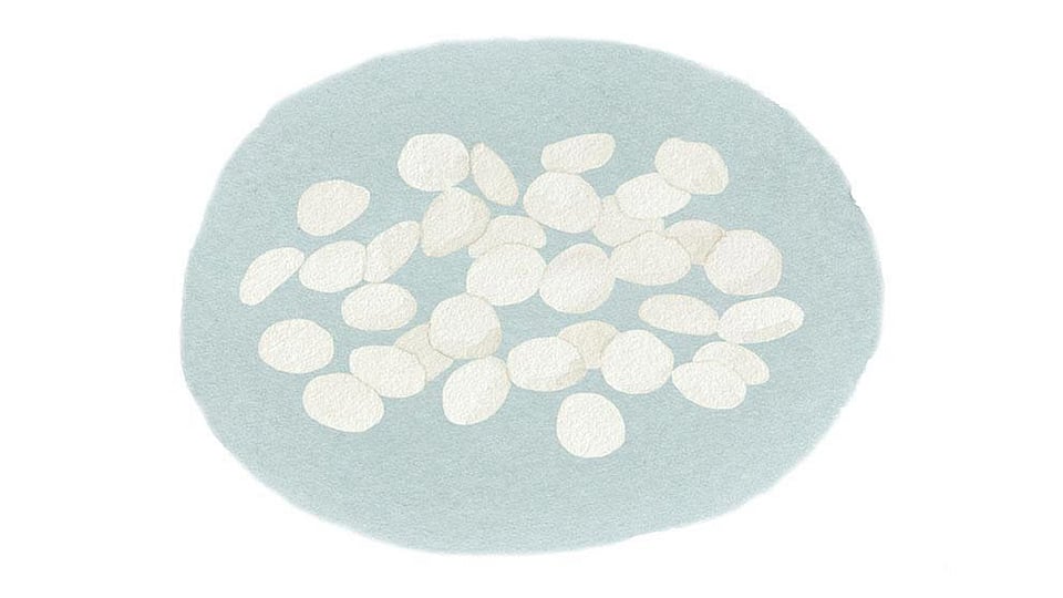 Hydrogenated Vegetable Oil